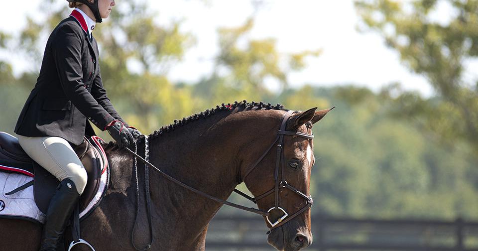 Georgia equestrian comeback falls short in first loss of season ...