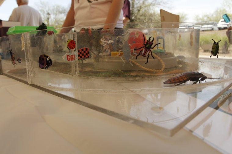 Insect Zoo and College of Veterinary Medicine Open House | Photo ...