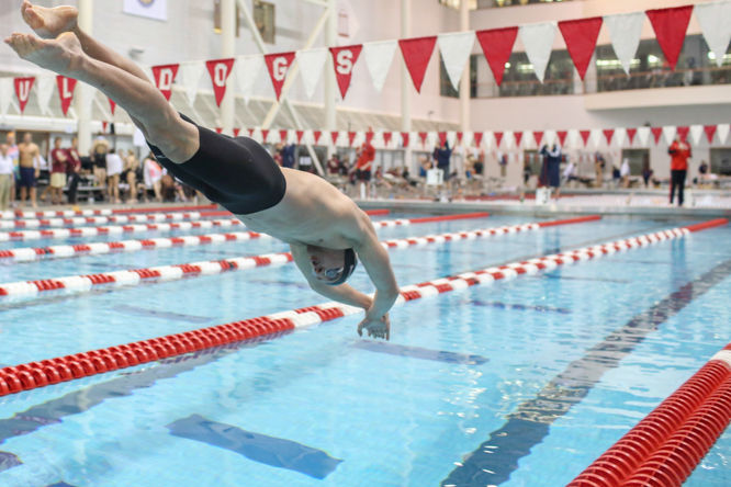 Georgia Swimming & Diving Fall Invitational Day One | Photo Galleries ...