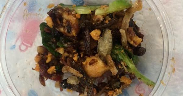 Bug Banquet: UGA Bug Dawgs partner with local Athens restaurants to ...
