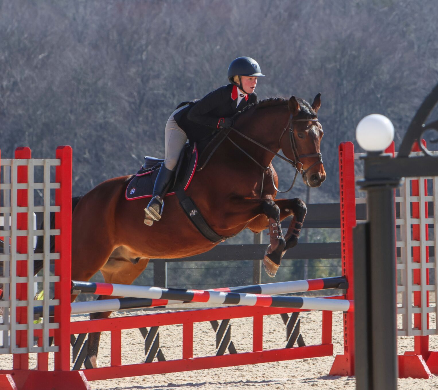 PHOTOS: UGA Equestrian vs. Texas A&M | Multimedia | redandblack.com