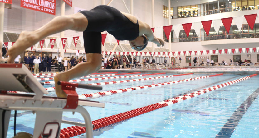 Georgia Swimming & Diving Fall Invitational Day One | Photo Galleries ...