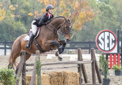 No. 4 Georgia equestrian to start season on Feb. 6 against South ...