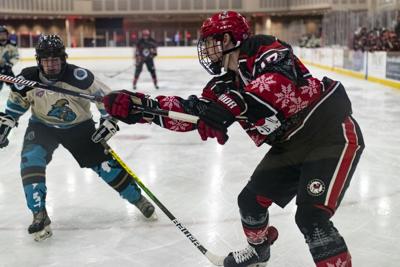 Georgia hockey earns two victories during senior weekend | Georgia ...