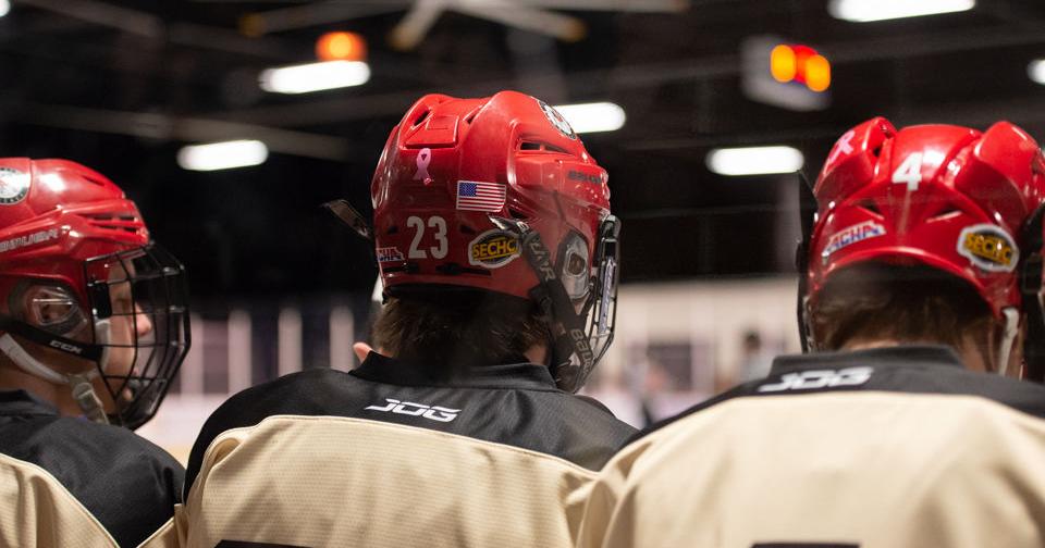 Ice Dawgs come back from early deficit to defeat Ole Miss | Georgia ...
