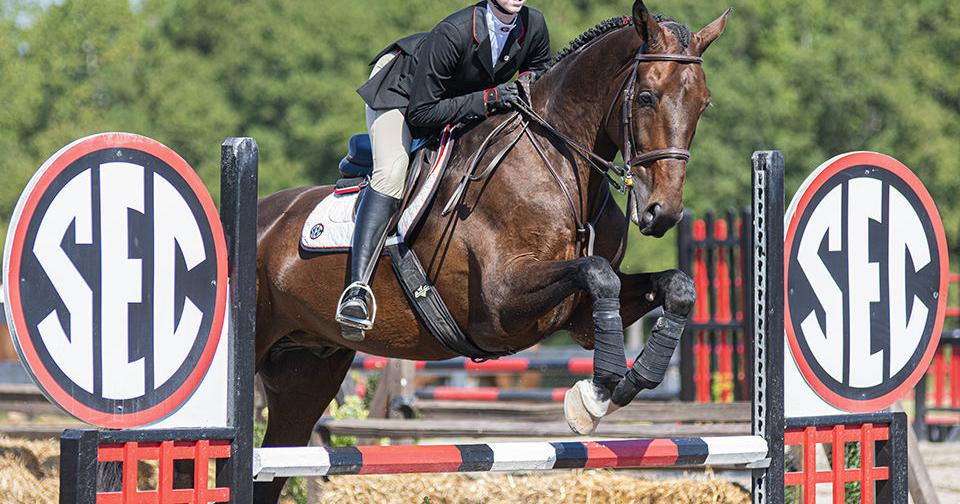 PHOTOS: UGA equestrian holds preseason scrimmage | Multimedia ...