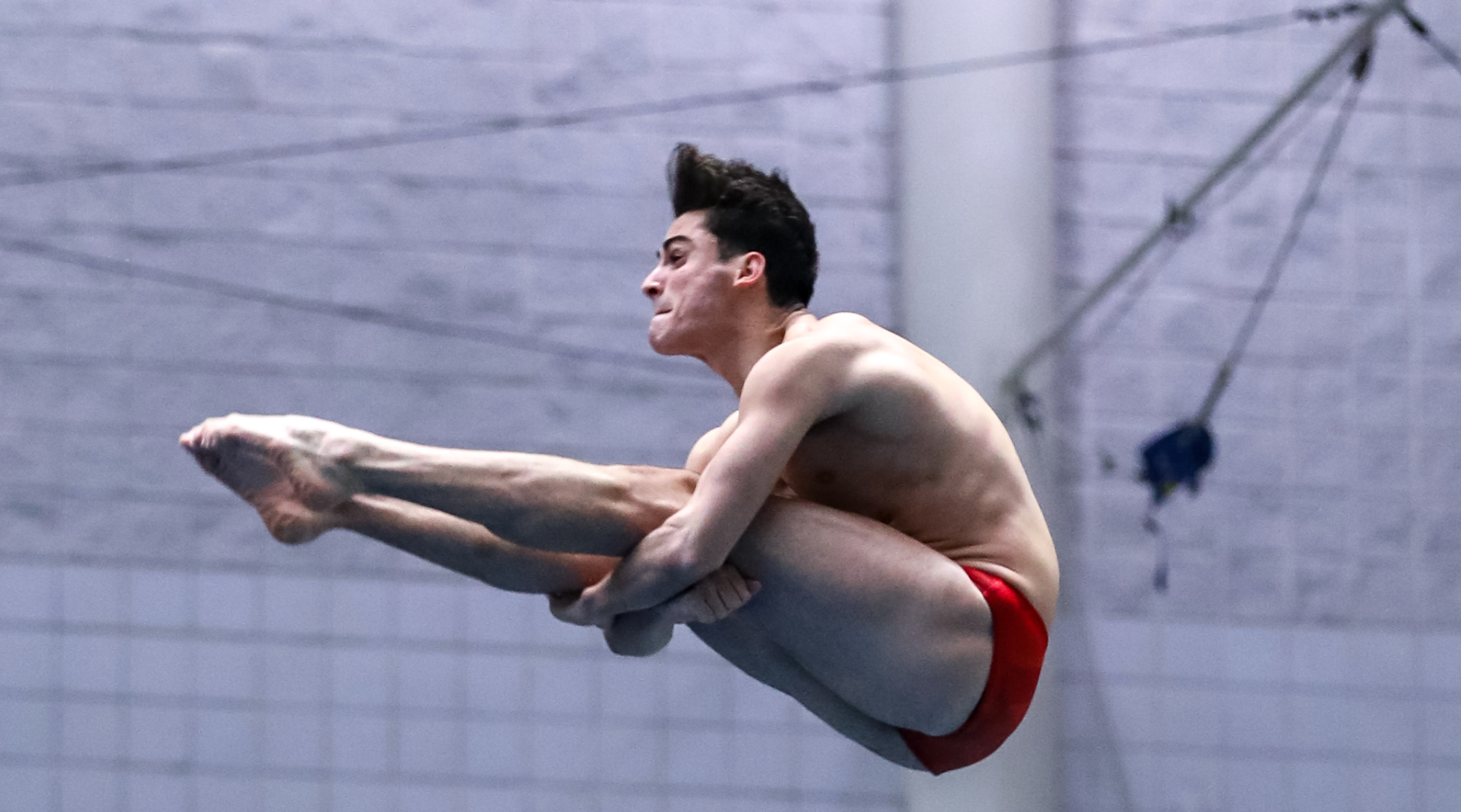 Georgia swim and dive reveals 2025-26 schedule | Georgia Sports ...