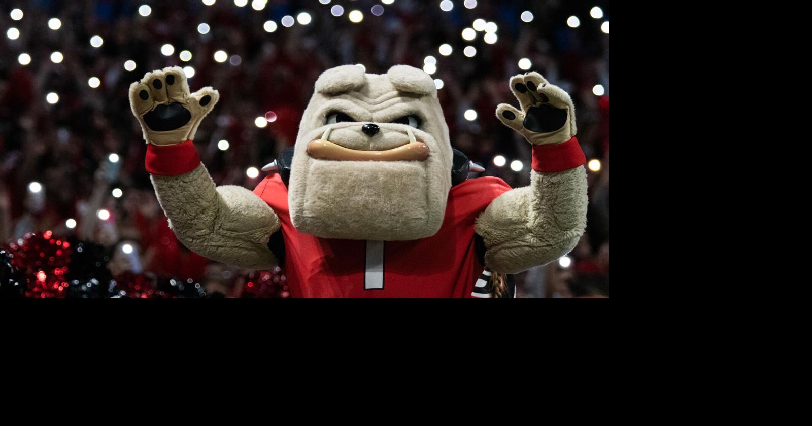 Georgia football lands wide receiver transfer Colbie Young | Georgia ...