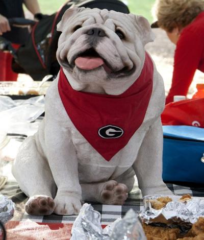 UGA named contender for South’s best tailgate | Campus News ...