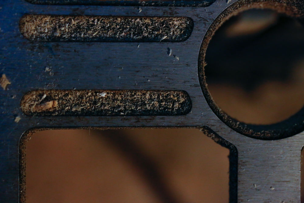 PHOTOS: Little Libraries, Large Community | Magazine | redandblack.com