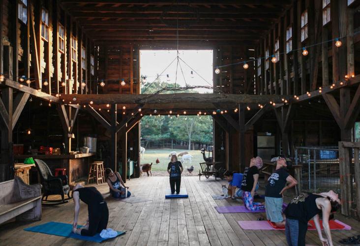 PHOTOS: Farm Animal Yoga | Multimedia | redandblack.com
