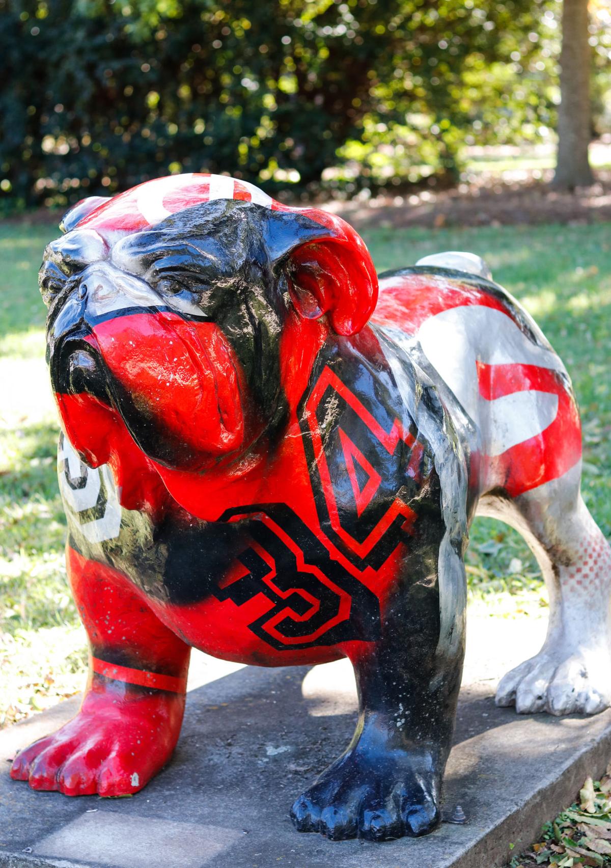 PHOTOS: Bulldogs of Athens | Culture | redandblack.com