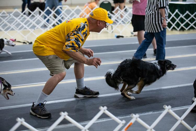 PHOTOS: Double Dog Dare darts through the Classic Center | Multimedia ...