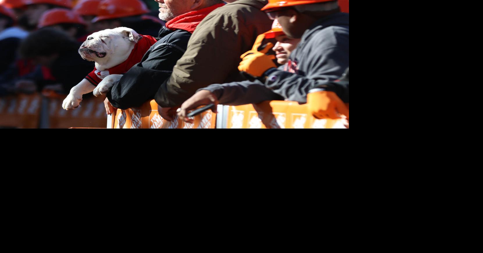 Timothée Chalamet is ESPN College Gameday's guest picker for SEC ...