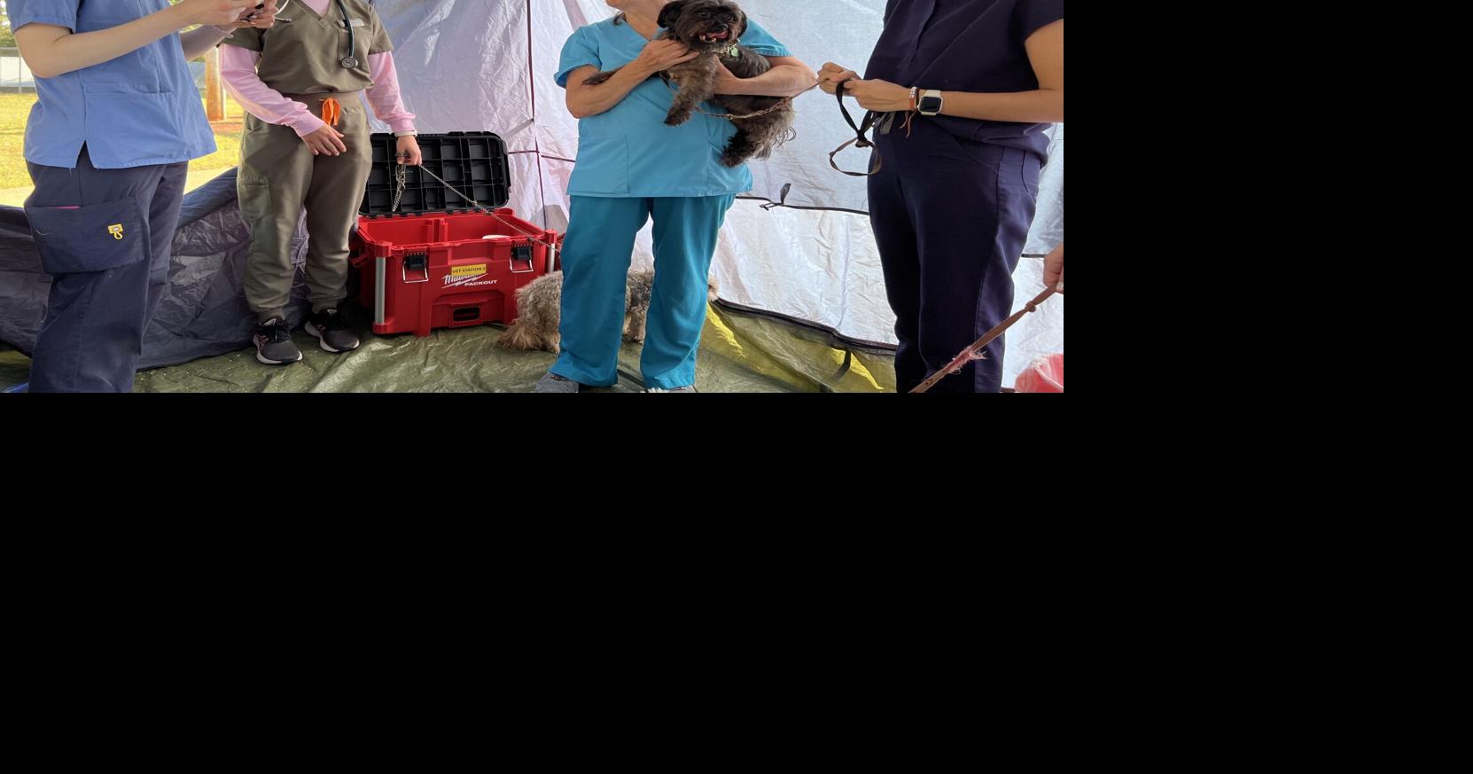 Georgia PAWs expands access to humane pet care for the community | Arts ...