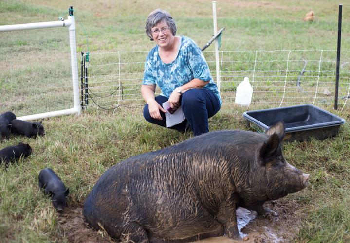 A Triple Dawg Raising Hogs | Magazine | redandblack.com