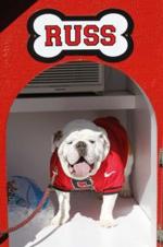 Beloved Bulldogs: Uga through the years | Georgia Sports | redandblack.com