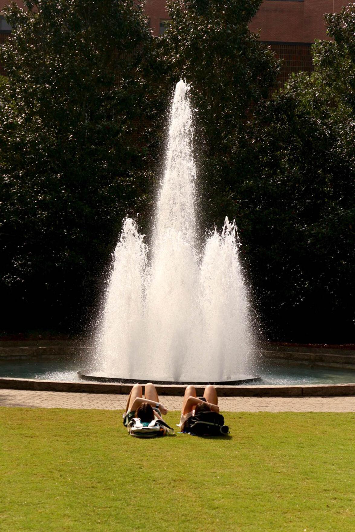 The freshman leap: A history of jumping in Herty Field fountain | Arts ...