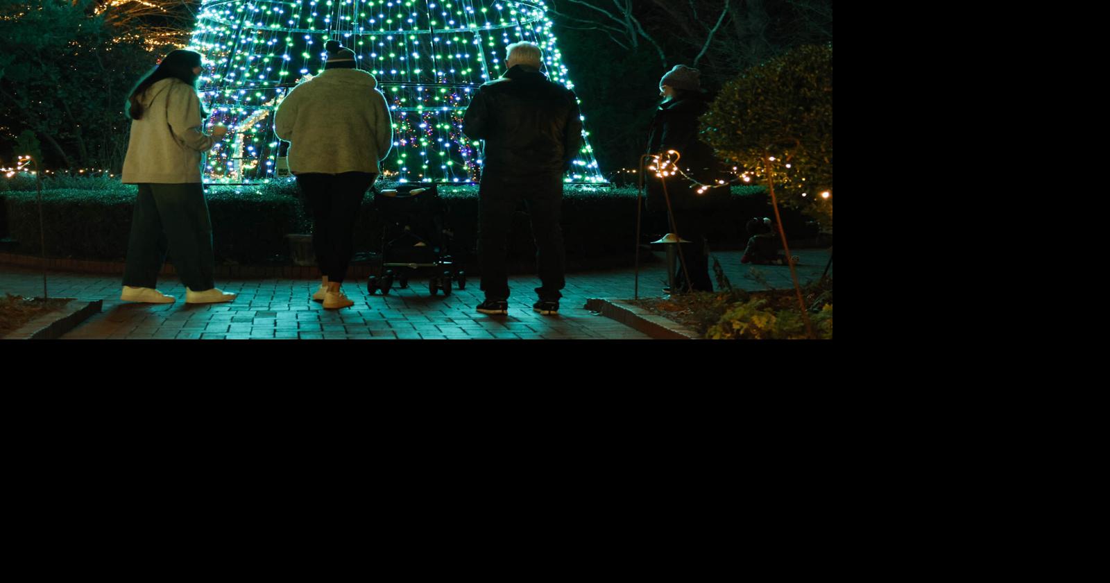 PHOTOS: Winter WonderLights | Multimedia | redandblack.com