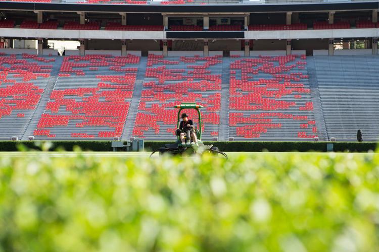 PHOTOS: UGA grounds crew prepares Sanford Stadium for Georgia football ...