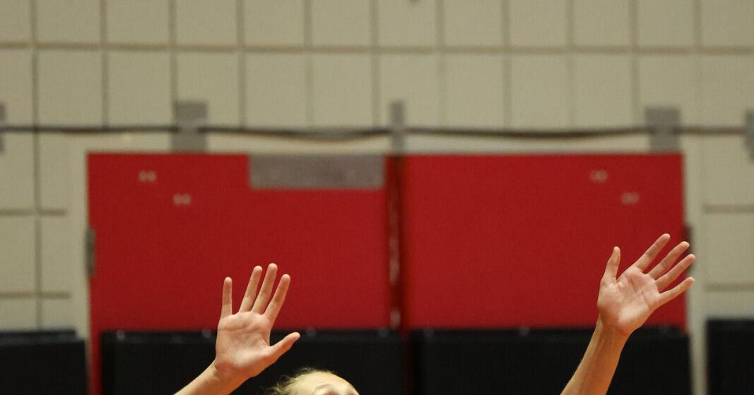 PHOTOS: UGA vs Samford Volleyball | Multimedia | redandblack.com