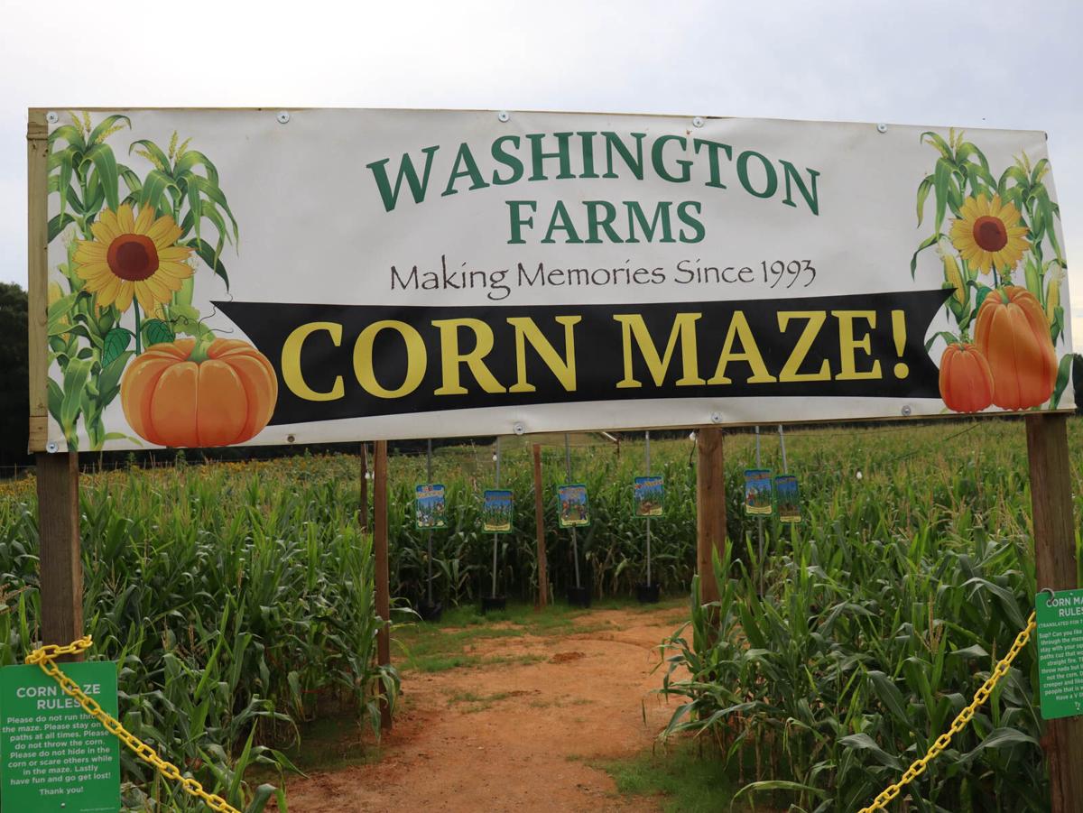 corn maze rules