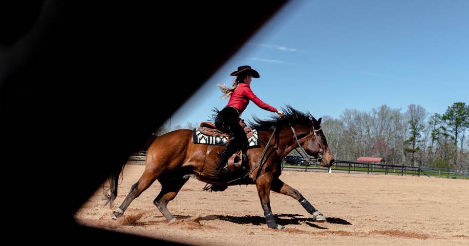 Georgia equestrian advances to national semifinals | Georgia Sports ...