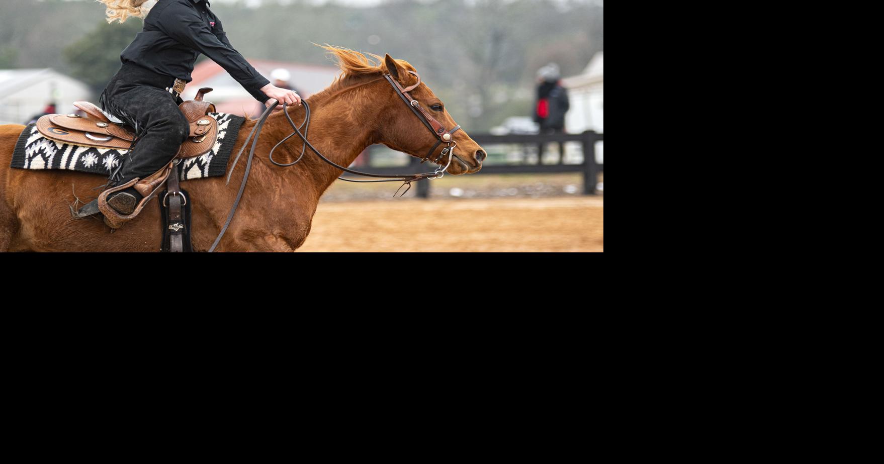 Georgia equestrian loses final meet of regular season to TCU | Georgia ...