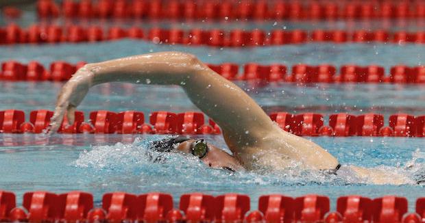Georgia women's swimming and diving wins 91st consecutive home meet ...