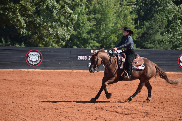Behind the reins of champions: The University of Georgia equestrian ...