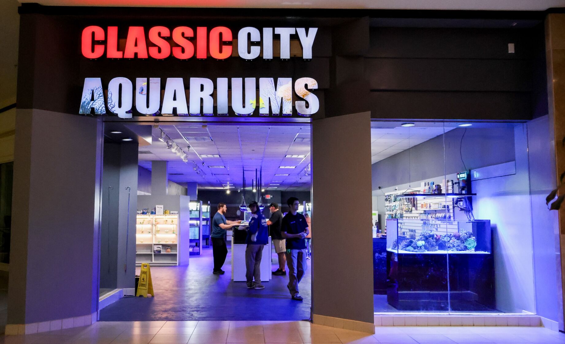 Making waves: Classic City Aquariums reopens at the Georgia Square Mall ...