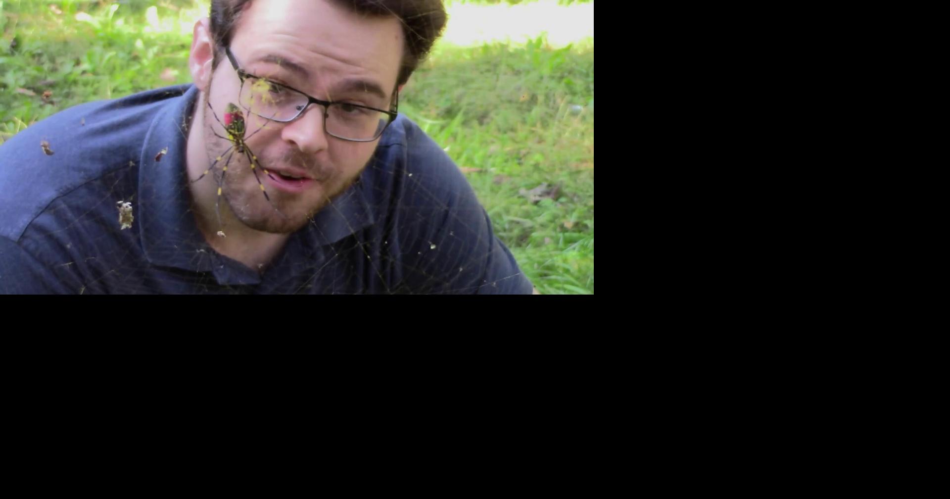 VIDEO: Joro spiders swarm in Athens, northeast Georgia | Multimedia ...