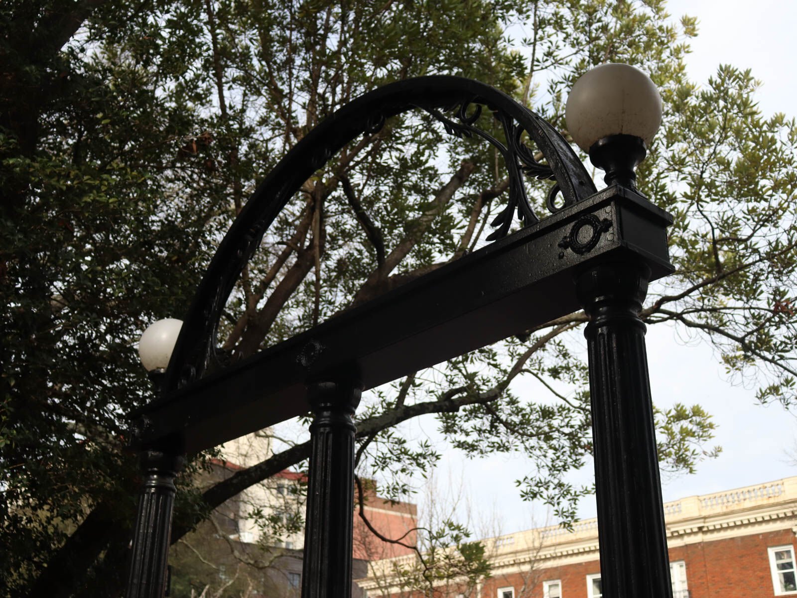 UGA sets record with $654M in research expenditures for FY25 | Campus ...
