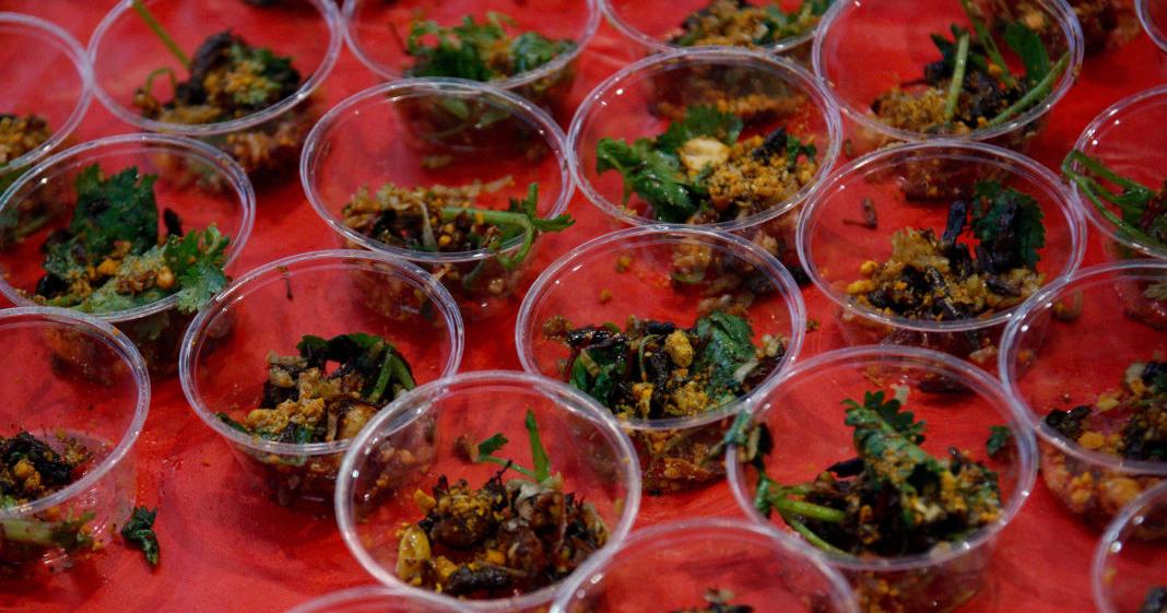 Breeding ground: Athens serves as hub for insect diets | Variety ...