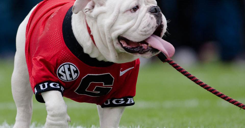 Over the Dog Years: The history of Uga, the most faithful supporter of ...