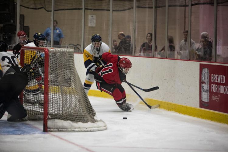 PHOTOS: Georgia Ice Dawgs defeat Michigan–Flint, 8-5 | Multimedia ...
