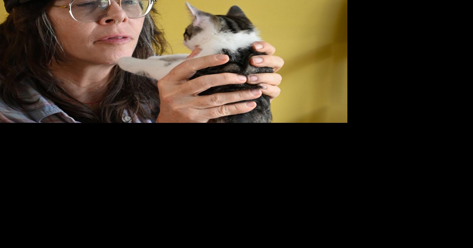 PHOTOS: Athens Area Humane Society’s ninth annual “Kitten Shower ...