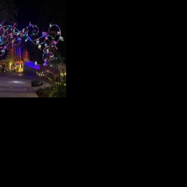 REVIEW: Holiday festivities at the Winter WonderLights light show ...