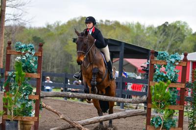 Georgia equestrian starts national title defense against Auburn ...