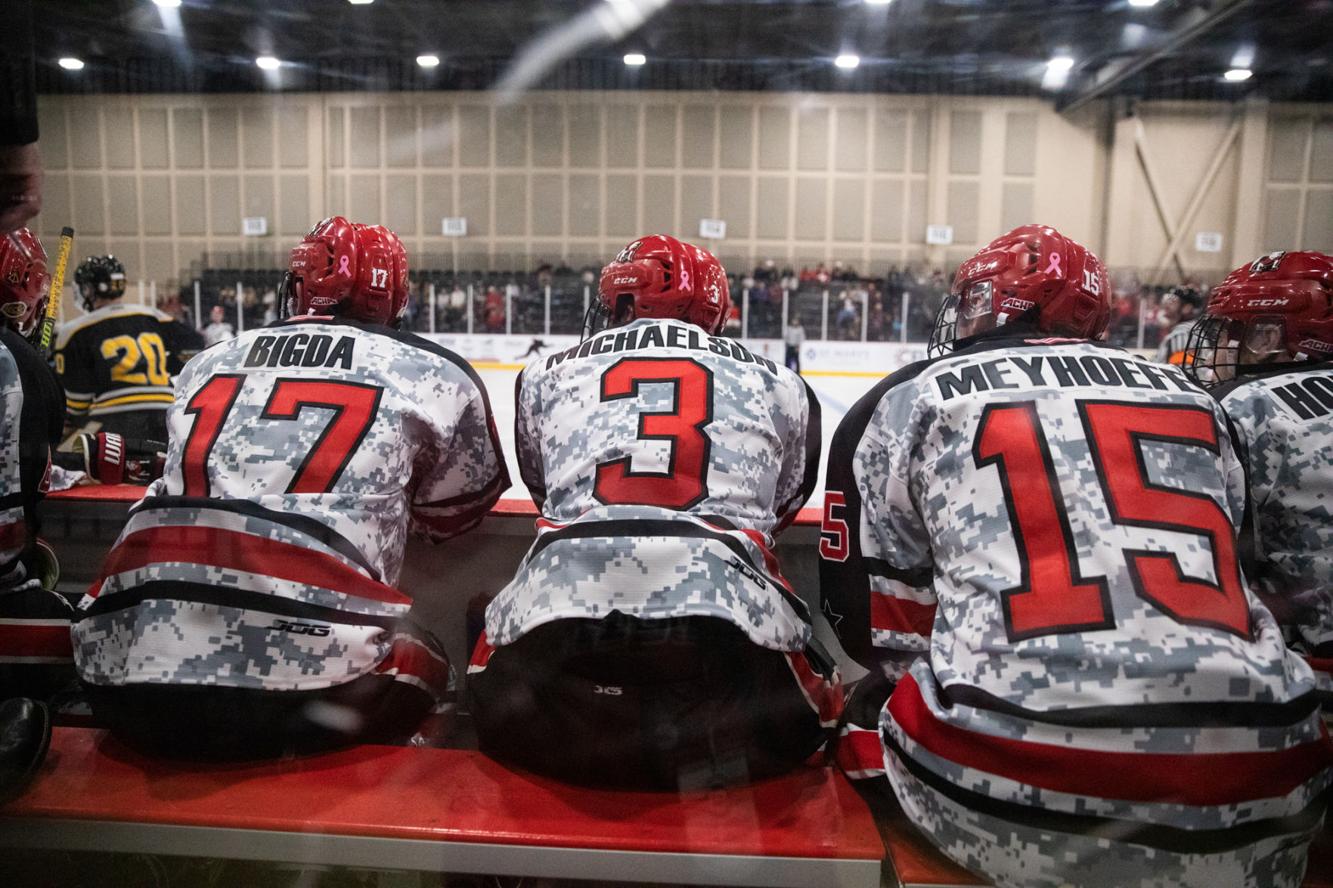 SECHC freezes Ice Dawgs’ hockey season until 2021 | Georgia Sports ...