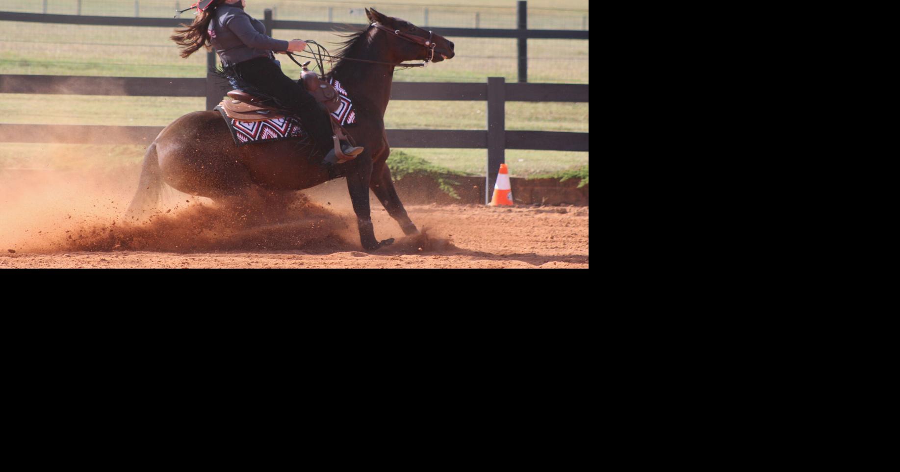 Georgia equestrian begins title defense with 17-3 rout of No. 8 Baylor ...