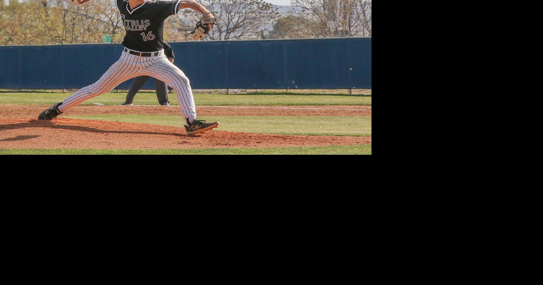 Citrus Valley Blackhawks duo nabs All-Citrus Belt top baseball honors ...