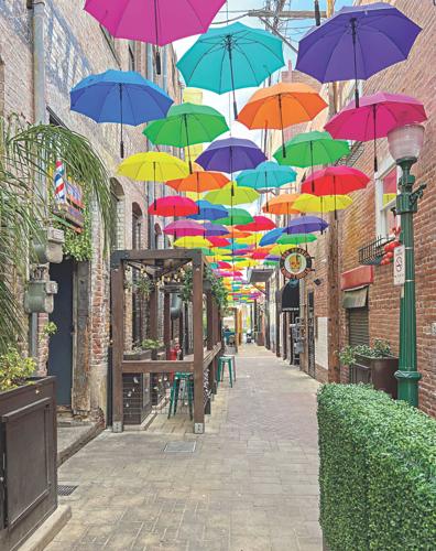 Redlanders glimpse ‘Umbrella Alley’ without cover | Community ...