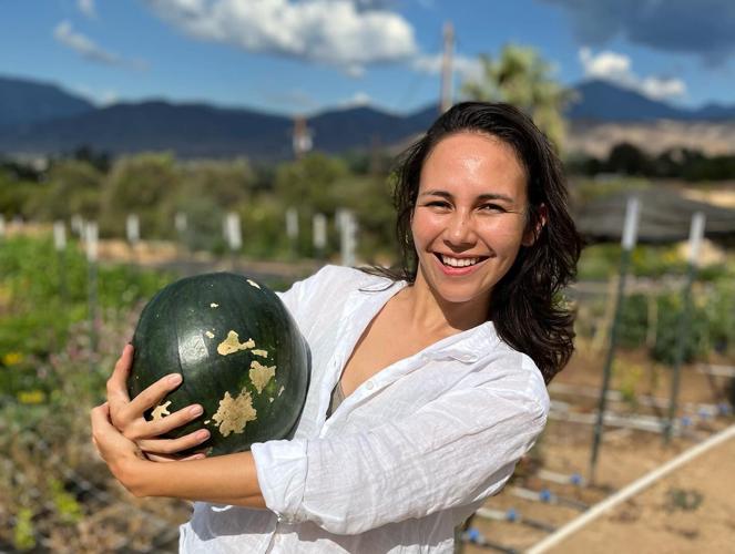 End of fruit fly quarantine brings hope to Redlands farmers | News ...
