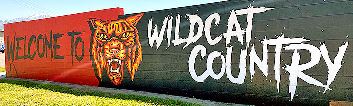 Redlands East Valley High School has a new welcome mural | News ...