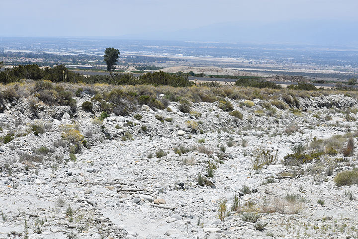 Santa Ana River Wash Plan aims to protect land and species | News ...