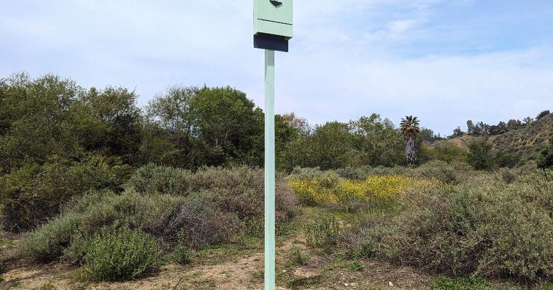 Scouts add amenities to Conservancy experience | News ...