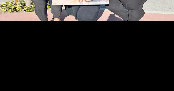 Diane Cook sentenced in cold case murder of Twin Peaks man | Public ...