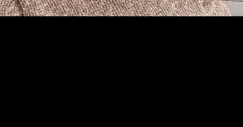 Memories of the beach inspires local artist Sandy Davies | Arts ...