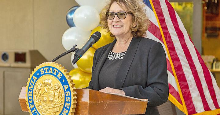 Assemblywoman Reyes plans to run for state Senate | Government ...